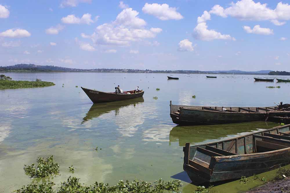 Lake Victoria - Experiece With Regal African Safaris
