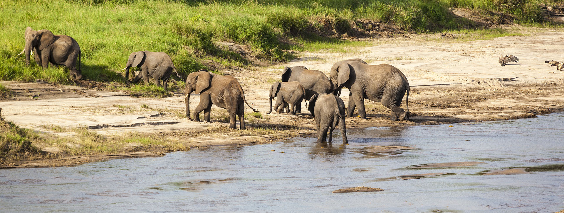 Safari Itineraries - Regal African Safaris